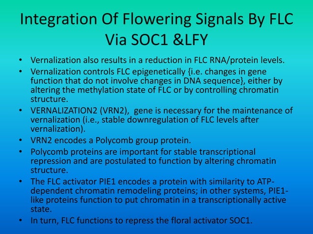 Floral induction | PDF