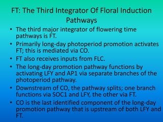 Floral induction | PDF