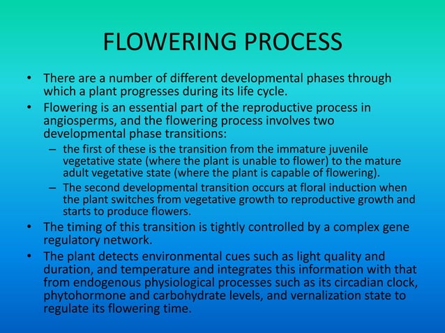 Floral induction | PDF
