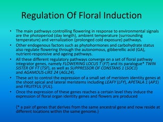 Floral induction | PDF