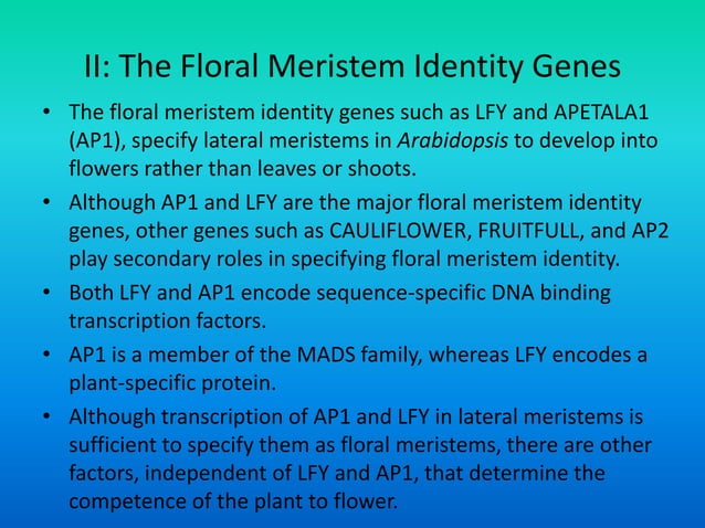 Floral induction | PDF