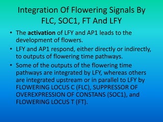 Floral induction | PDF