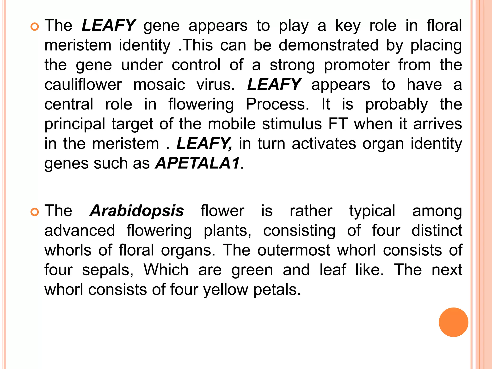 Floral induction and development genetic and molecular analysis | PPTX