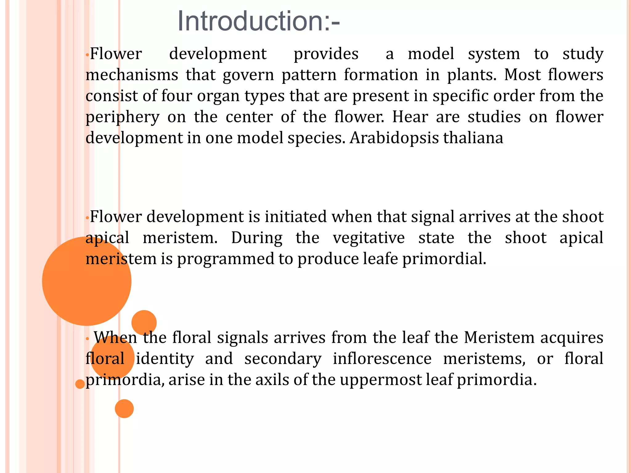 Floral induction and development genetic and molecular analysis | PPTX
