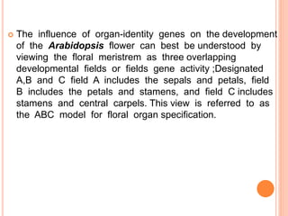 Floral induction and development genetic and molecular analysis | PPTX