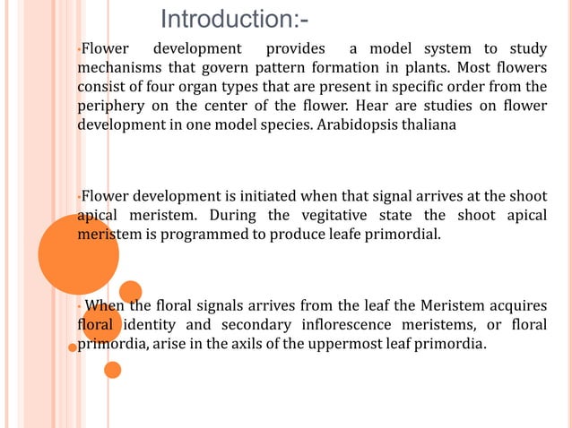 Floral induction and development genetic and molecular analysis | PPTX ...