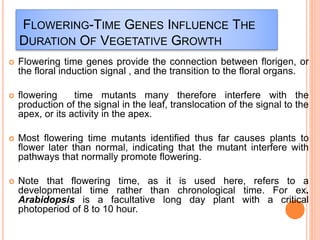 Floral induction and development genetic and molecular analysis | PPTX