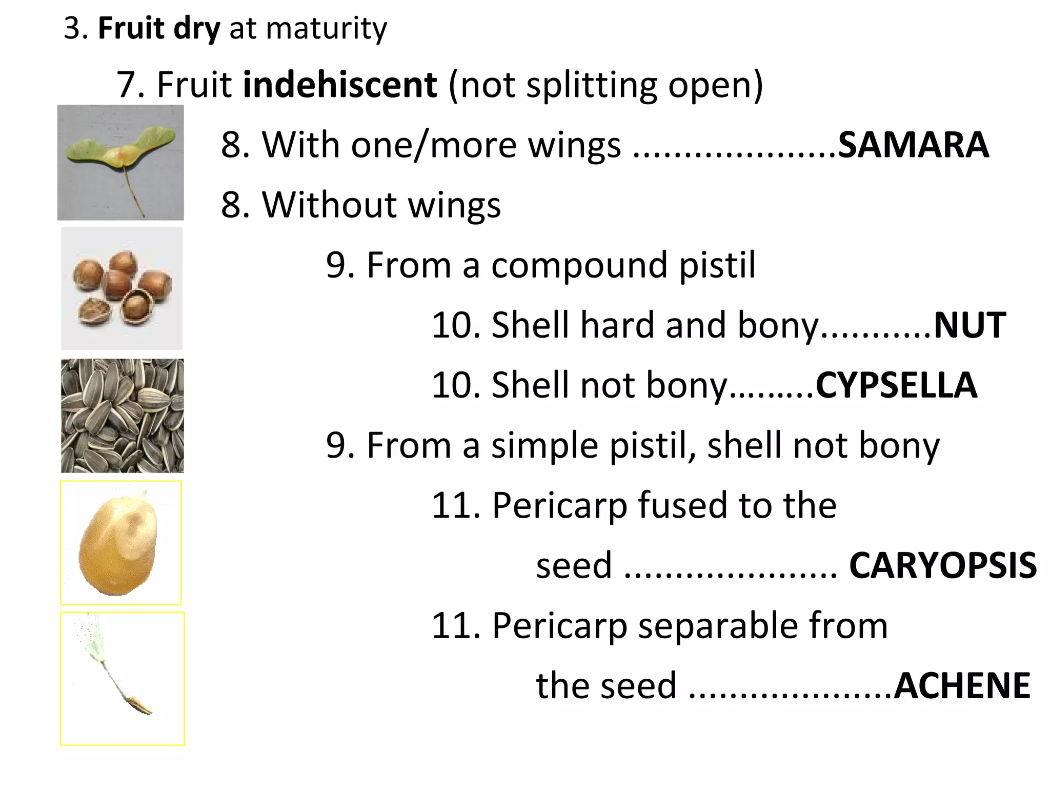 Structure of the flower | PPT