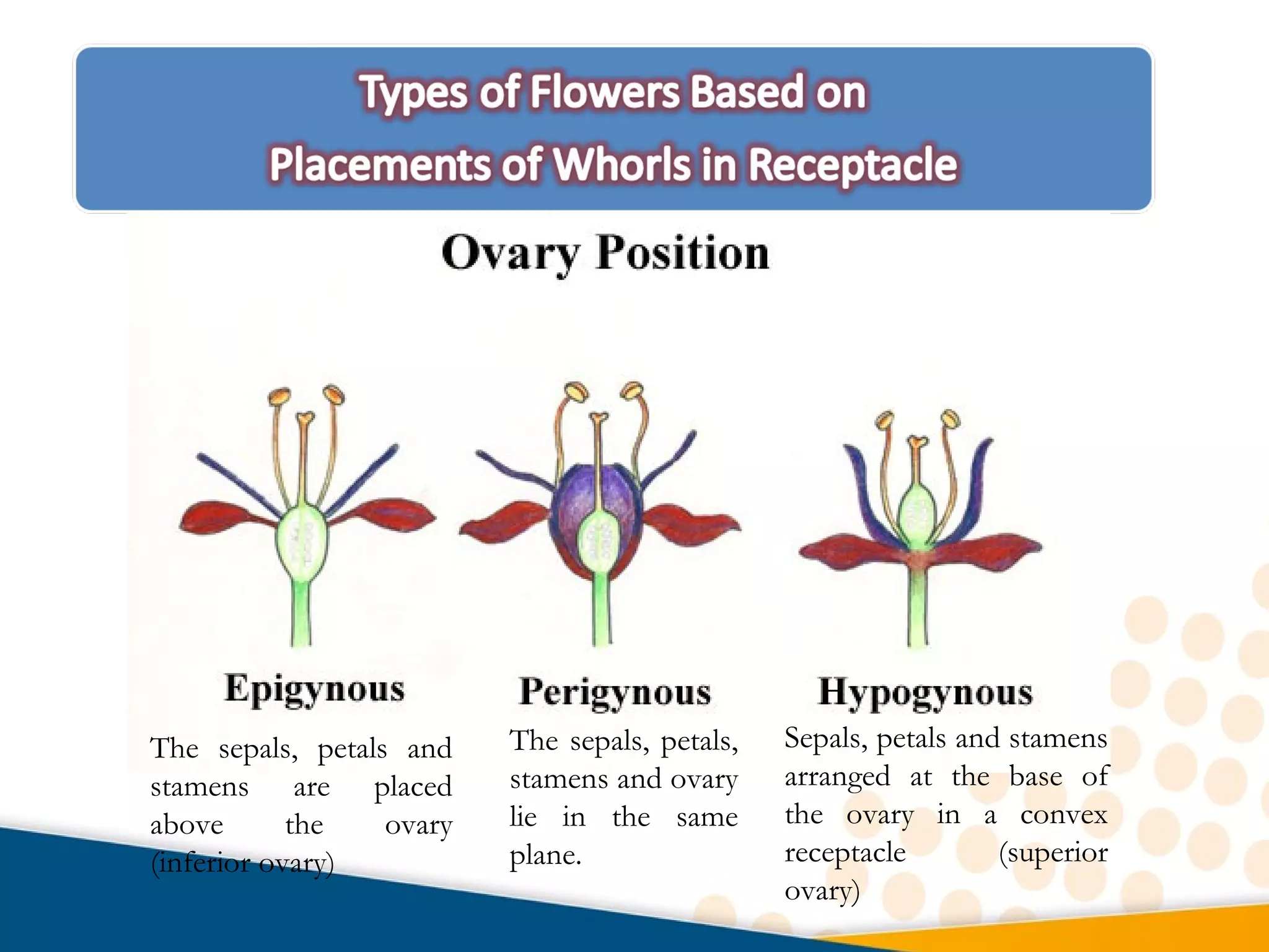 Structure of the flower | PPT