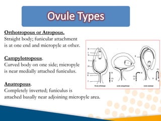 Structure of the flower | PPT