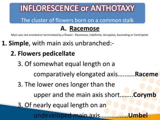 Structure of the flower | PPT