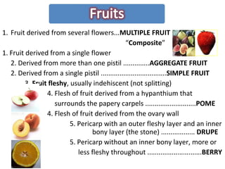 Structure of the flower | PPT