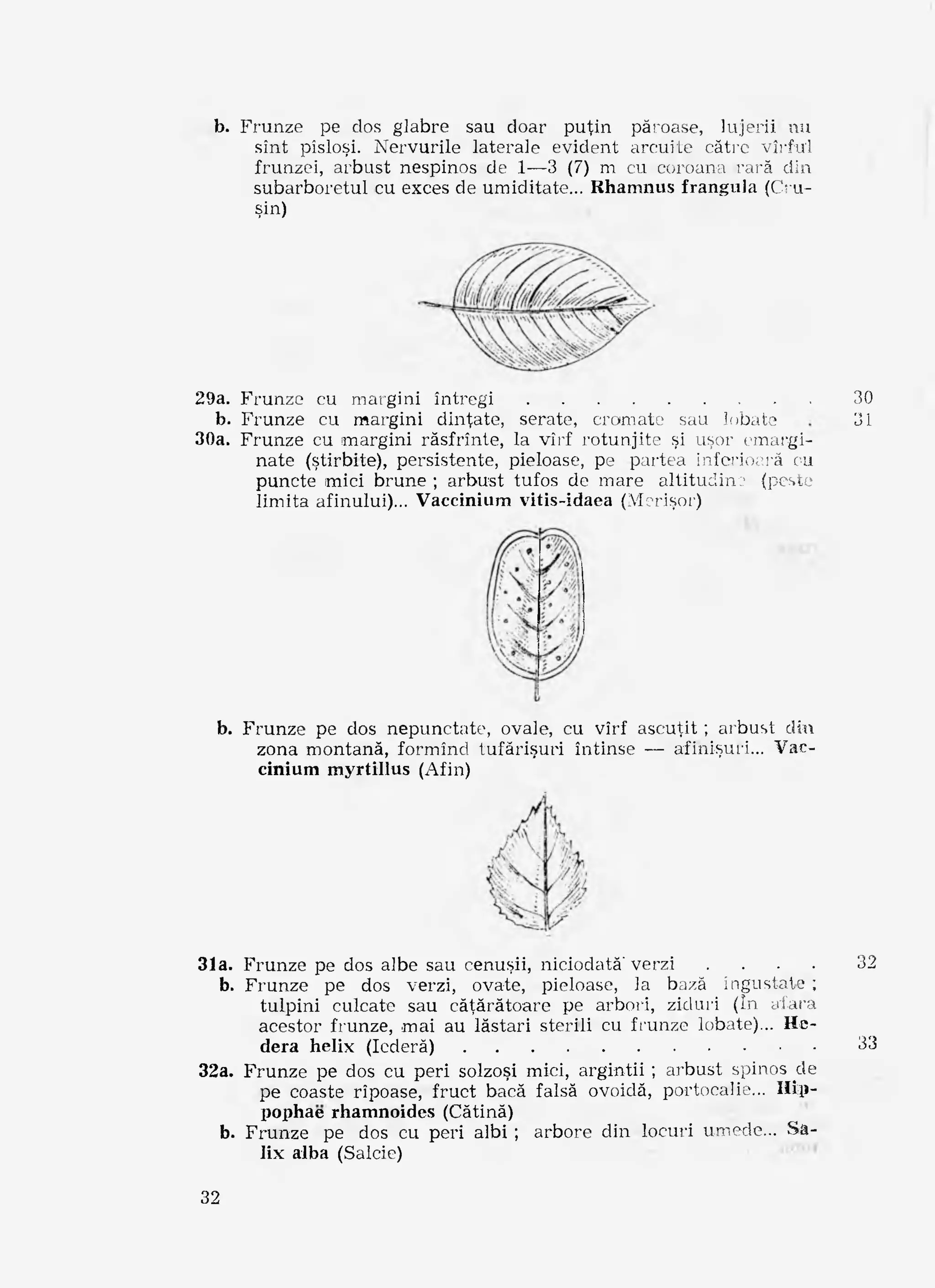 Flora medicinala a Romaniei vol. I | PDF
