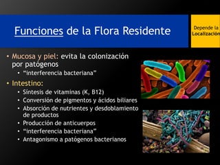 Flora Microbiana Normal | PPTX