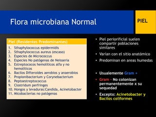 Flora Microbiana Normal | PPTX