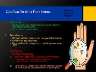 Flora Microbiana Normal | PPTX