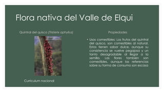 Flora nativa del valle de elqui y propiedades | PPTX