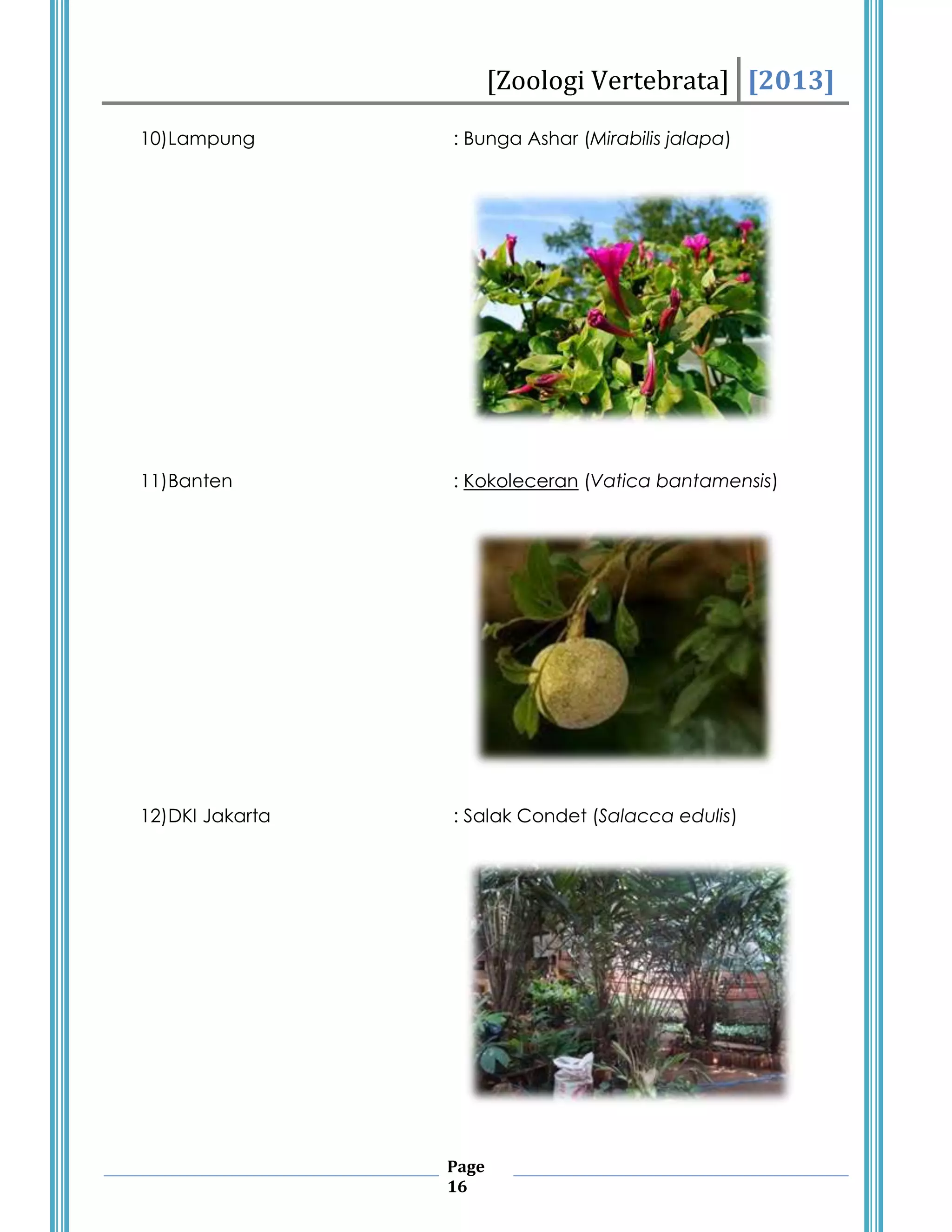 Flora n fauna maskot provinsi di indonesia | DOCX