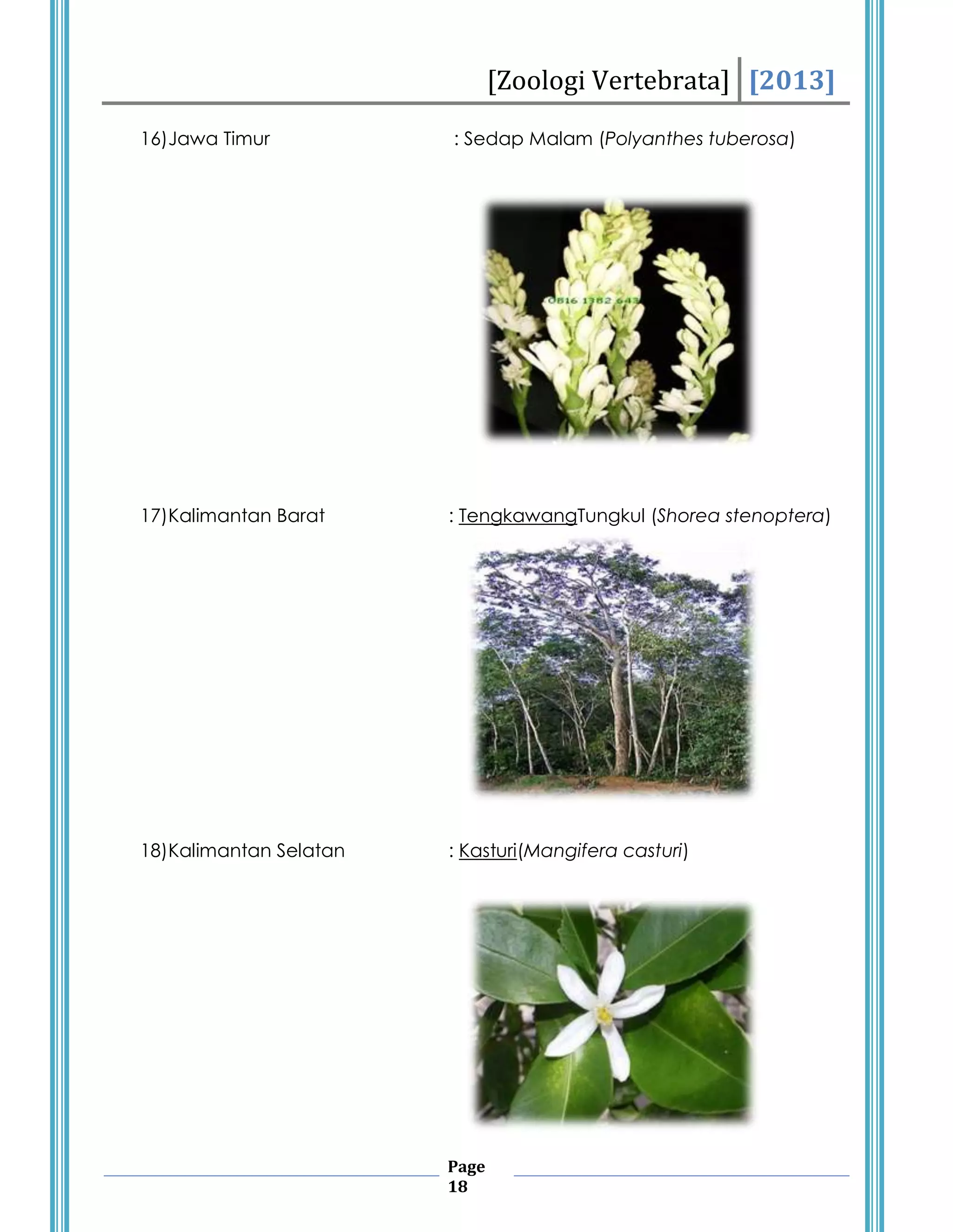 Flora n fauna maskot provinsi di indonesia | PDF