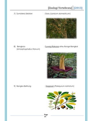 Flora n fauna maskot provinsi di indonesia | PDF