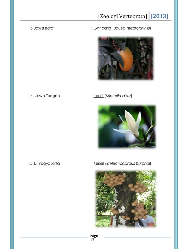 Flora n fauna maskot provinsi di indonesia | PDF