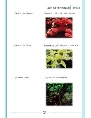 Flora n fauna maskot provinsi di indonesia | PDF