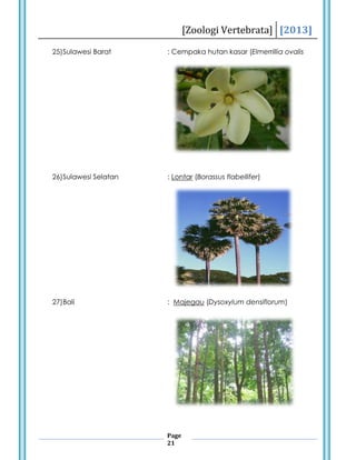 Flora n fauna maskot provinsi di indonesia | PDF