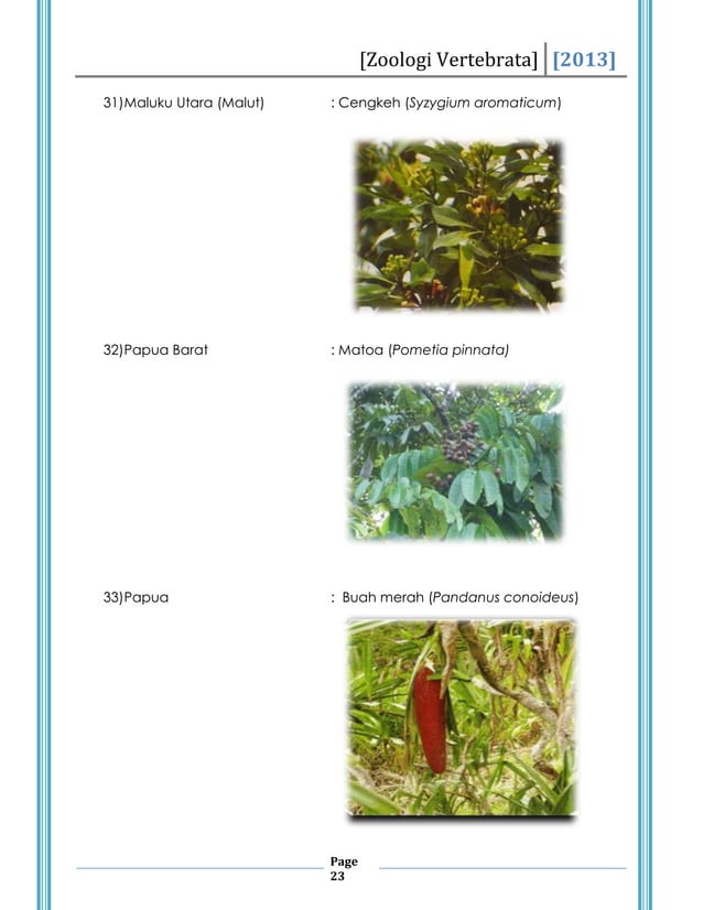 Flora n fauna maskot provinsi di indonesia | PDF