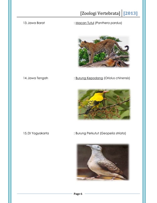 Flora n fauna maskot provinsi di indonesia | PDF