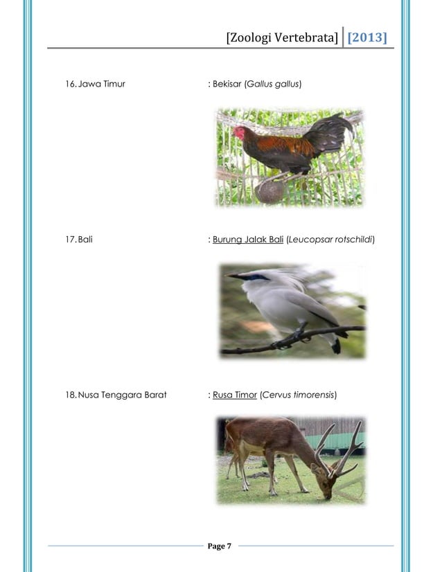 Flora n fauna maskot provinsi di indonesia | PDF