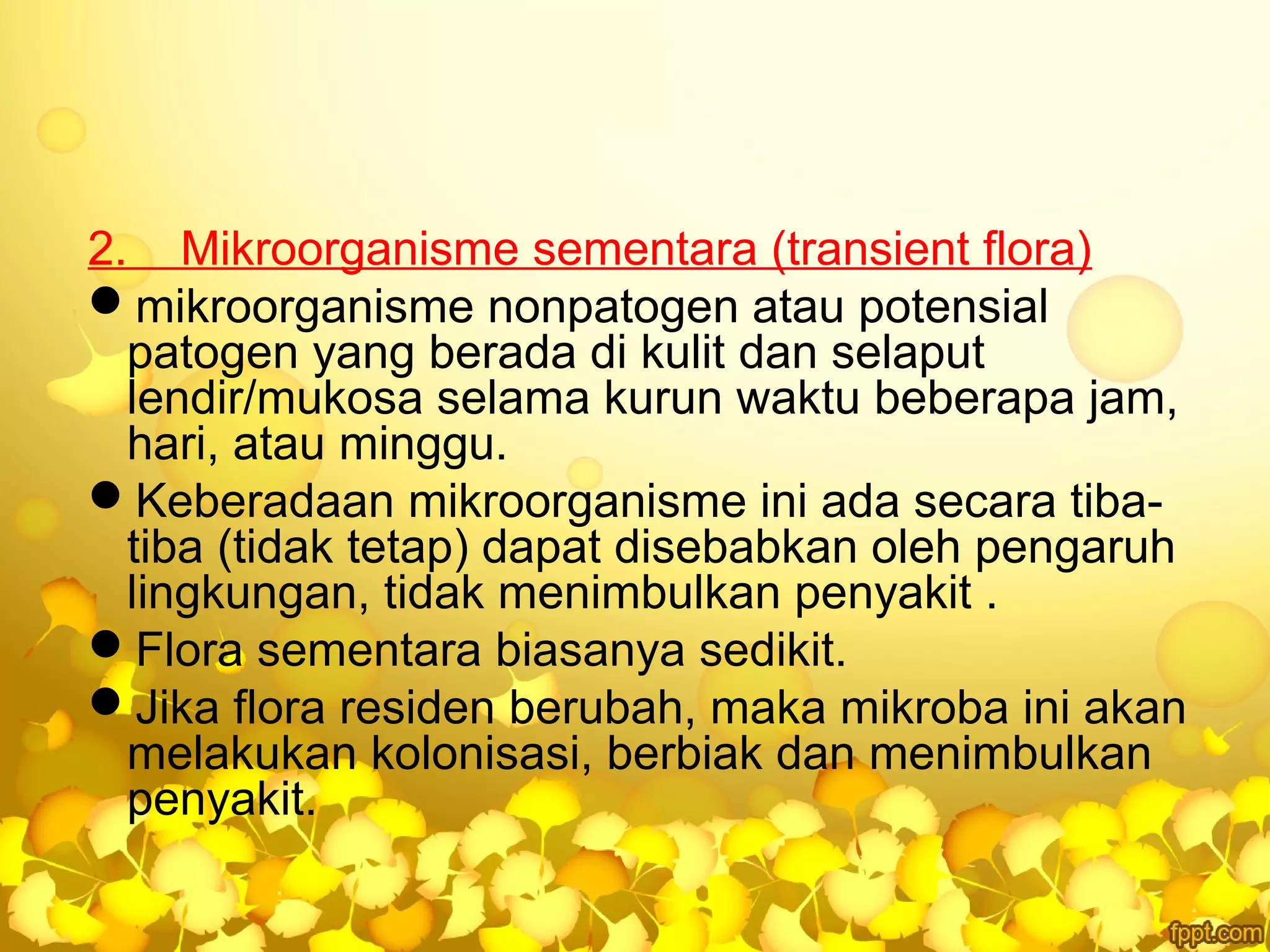 FLORA NORMAL | PPT