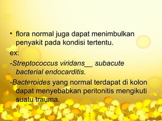 FLORA NORMAL | PPT