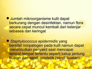 FLORA NORMAL | PPT