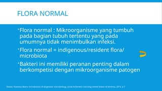 Flora Normal dan Kuman Patogen Penyebab Infeksi.pptx