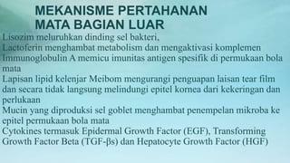 Flora normal mata dan kuman penyebab infeksi mata | PPTX