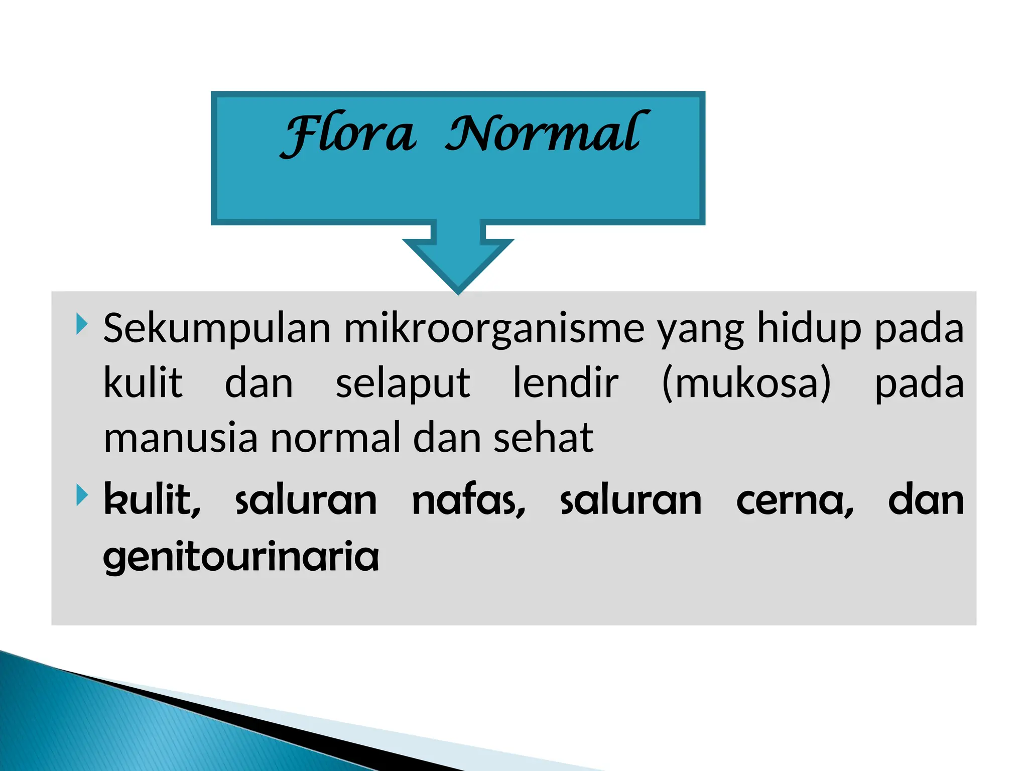 MATERI Flora Normal Pada Tubuh Manusia.ppt