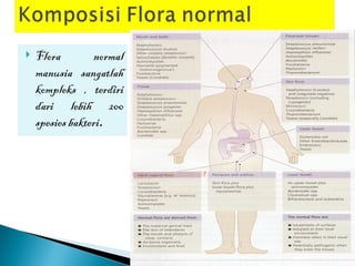 MATERI Flora Normal Pada Tubuh Manusia.ppt