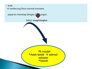 MATERI Flora Normal Pada Tubuh Manusia.ppt