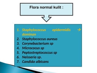 MATERI Flora Normal Pada Tubuh Manusia.ppt