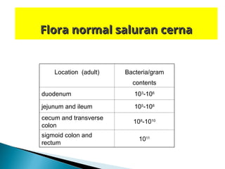 MATERI Flora Normal Pada Tubuh Manusia.ppt