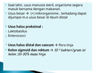 MATERI Flora Normal Pada Tubuh Manusia.ppt