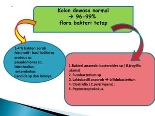 MATERI Flora Normal Pada Tubuh Manusia.ppt