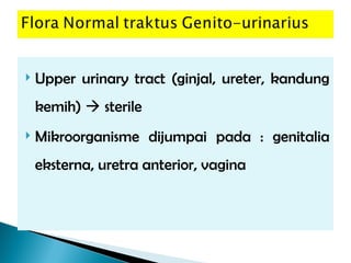MATERI Flora Normal Pada Tubuh Manusia.ppt