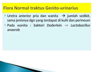 MATERI Flora Normal Pada Tubuh Manusia.ppt