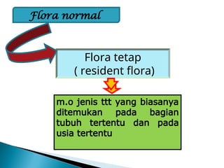 MATERI Flora Normal Pada Tubuh Manusia.ppt