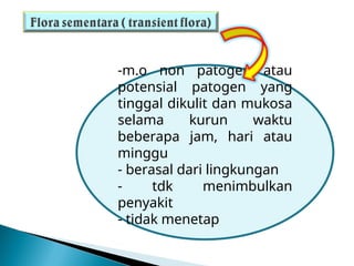 MATERI Flora Normal Pada Tubuh Manusia.ppt