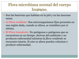 Flora normal y patogena | PPTX