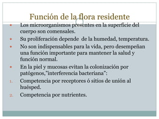 Flora normal y patogena | PPTX