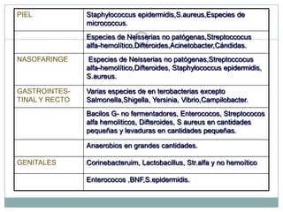 Flora normal y patogena | PPTX
