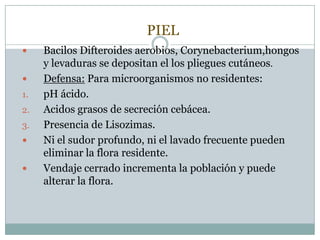 Flora normal y patogena | PPTX